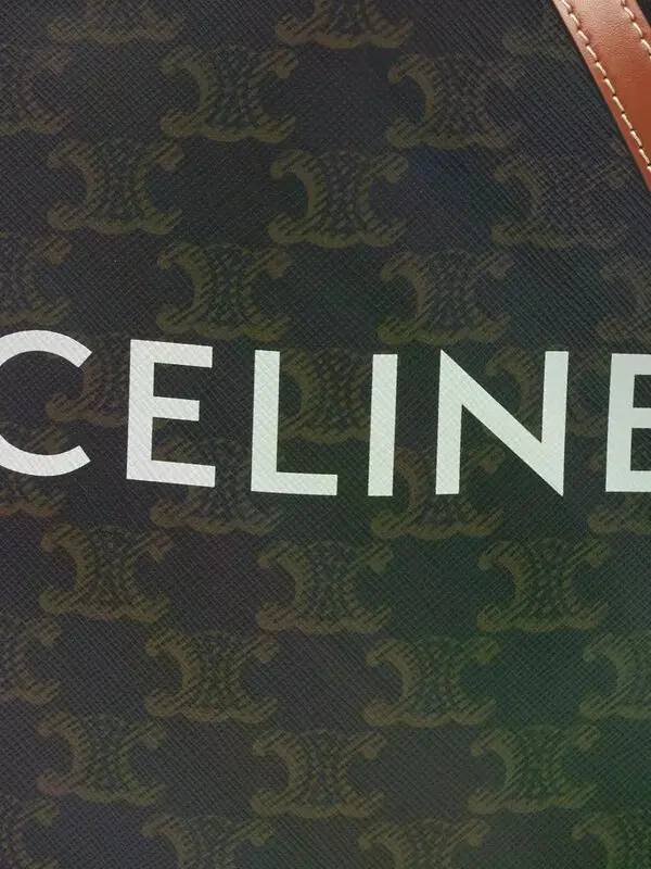 Celine Mini Triomphe Vertical Cabas Tote Bag
