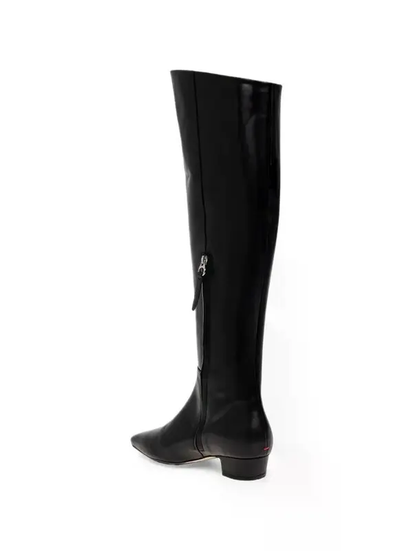 AeydĒ Ilaria Leather Knee-high Boots