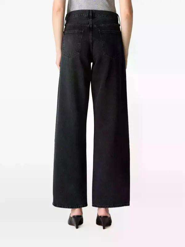 AGOLDE Low Rise Loose Jeans