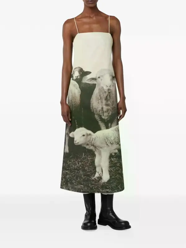 Moschino Printed Cotton Gabardine Dress