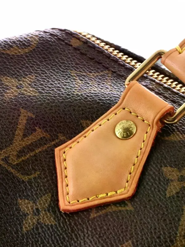 LOUIS VUITTON Speedy Handbag Monogram Canvas Satchel