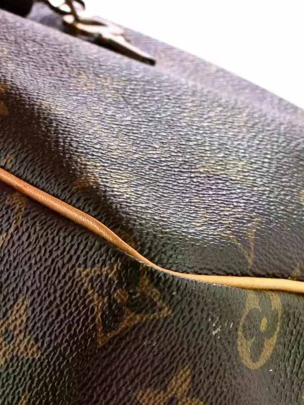 LOUIS VUITTON Speedy Handbag Monogram Canvas Satchel