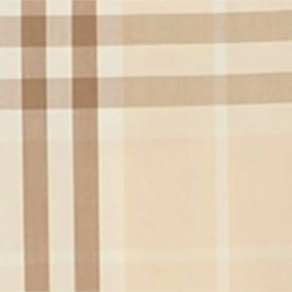 Burberry Cotton Check Shirt