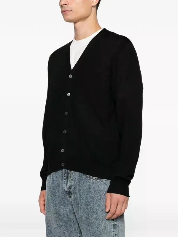 Corneliani Button-up V-neck Cardigan