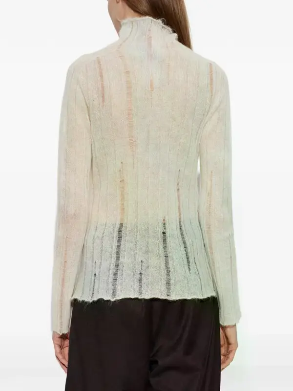 Fabiana Filippi Fitted Turtleneck