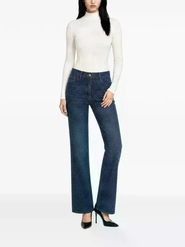 Elisabetta Franchi Mesh-panel Bodysuit