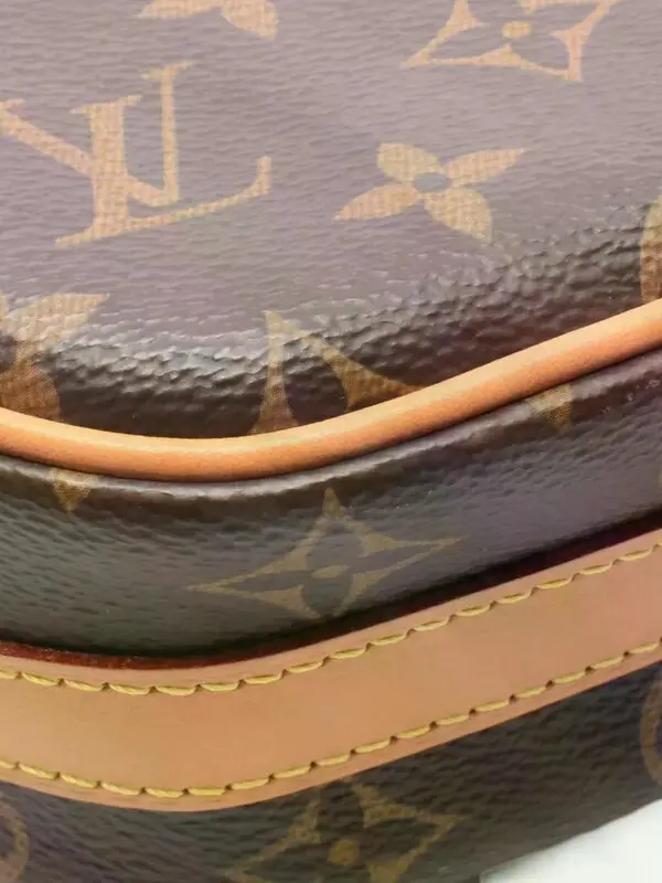 LOUIS VUITTON Boite Chapeau Souple Monogram Shoulder Bag