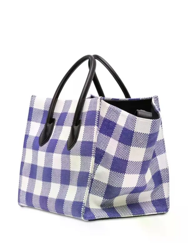 Celine 2014 Medium Gingham Raffia Luggage Phantom Tote Bag