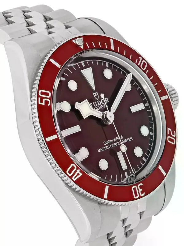 TUDOR Black Bay 39mm Watch