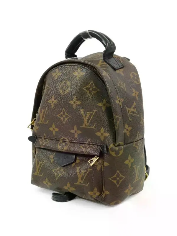 LOUIS VUITTON Mini Palm Springs Backpack - Brown