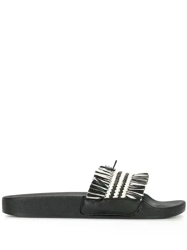 Senso Elijah Slides
