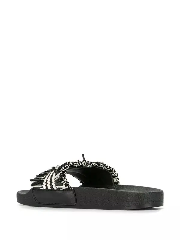 Senso Elijah Slides