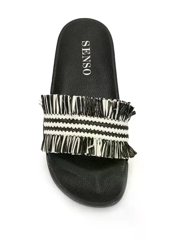 Senso Elijah Slides