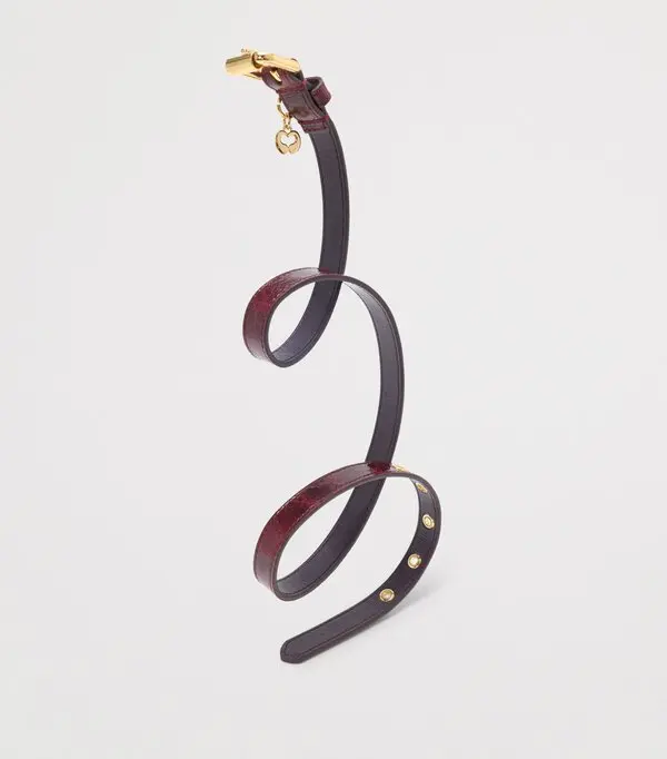 Maje Leather Eyelet Slim Belt