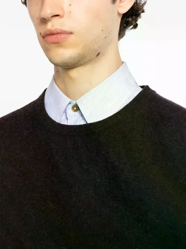 N.peal Oxford Sweater