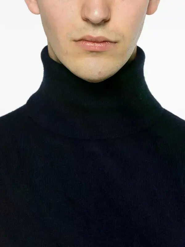 Sandro Cashmere Turtleneck Sweater
