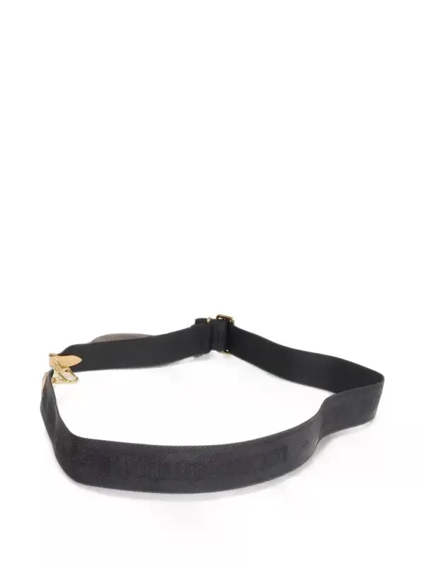 LOUIS VUITTON Bandouliere Monogram Strap