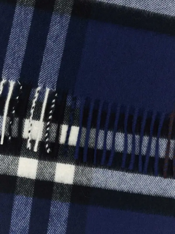 Burberry Scarf Colour