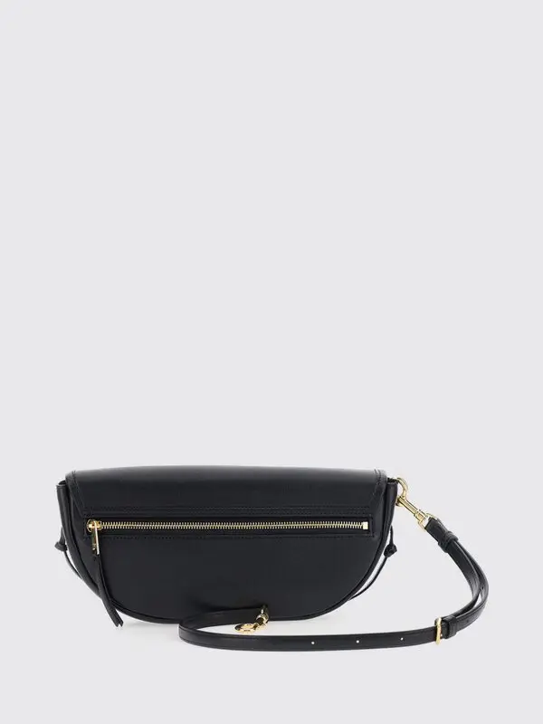 Celine Crossbody Bag Colour