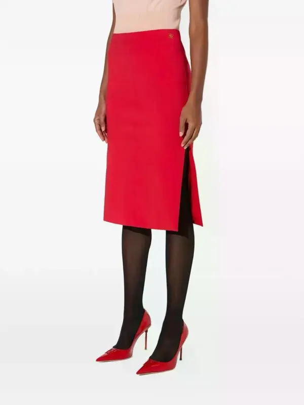 Elisabetta Franchi Skirt Made Of Technical Fabric