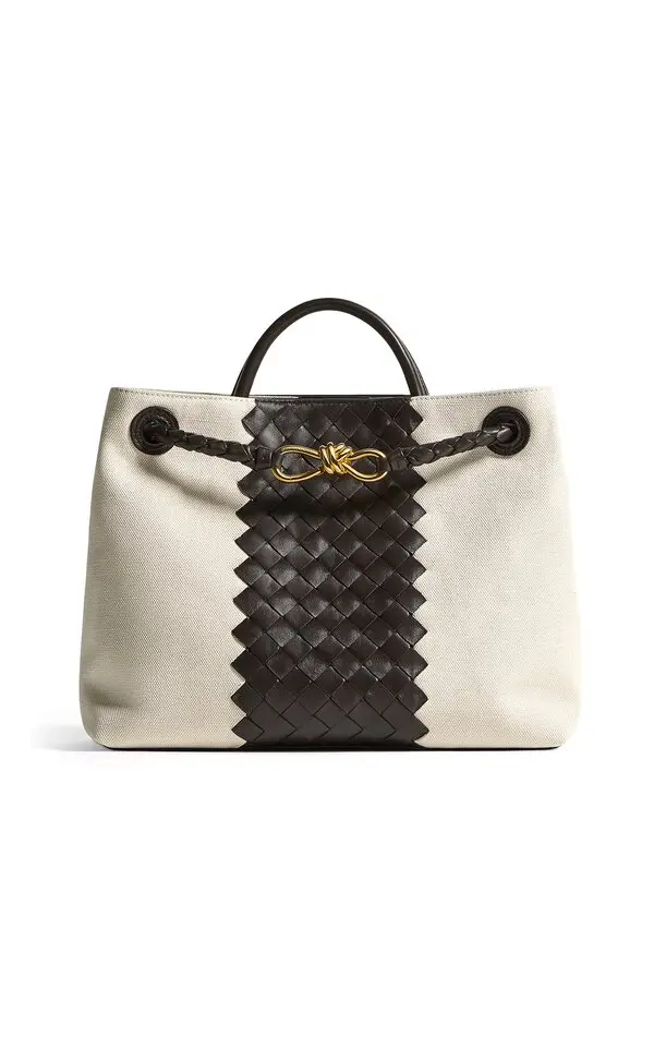 Bottega Veneta Andiamo Intrecciato Leather And Canvas Bag - Neutral