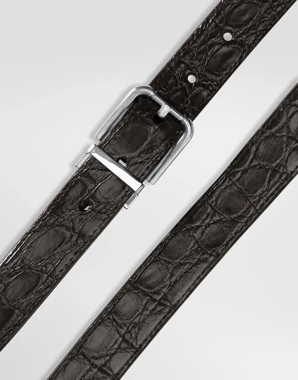 Dolce & Gabbana Caiman Belt Collection Brown