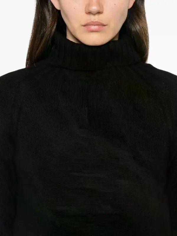 VELA SHOP Roll-neck Raglan-sleeve Sweater