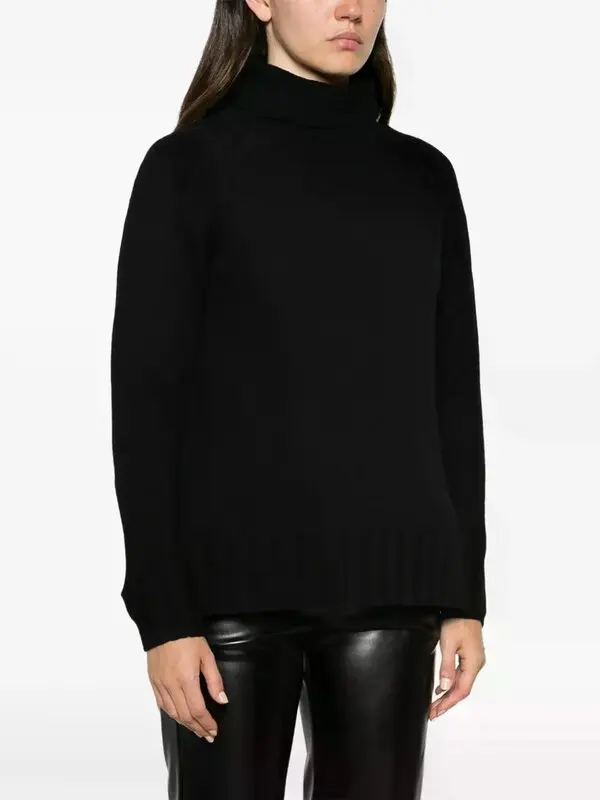 VELA SHOP Roll-neck Raglan-sleeve Sweater