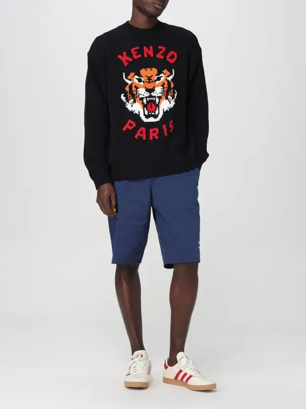 Kenzo Jumper Colour