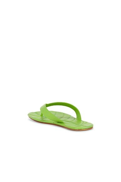 JW Anderson Leaf Slide