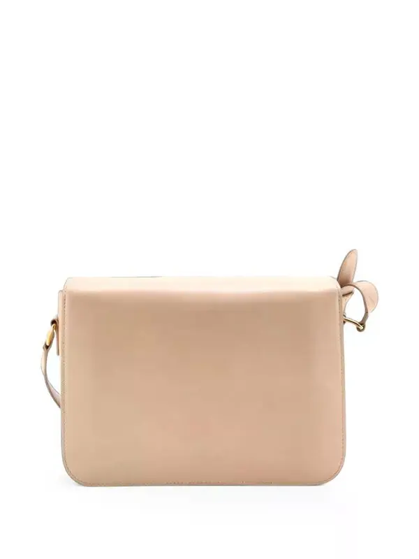 Celine Triomphe Shoulder Bag Smooth Calfskin Large Crossbody Bag