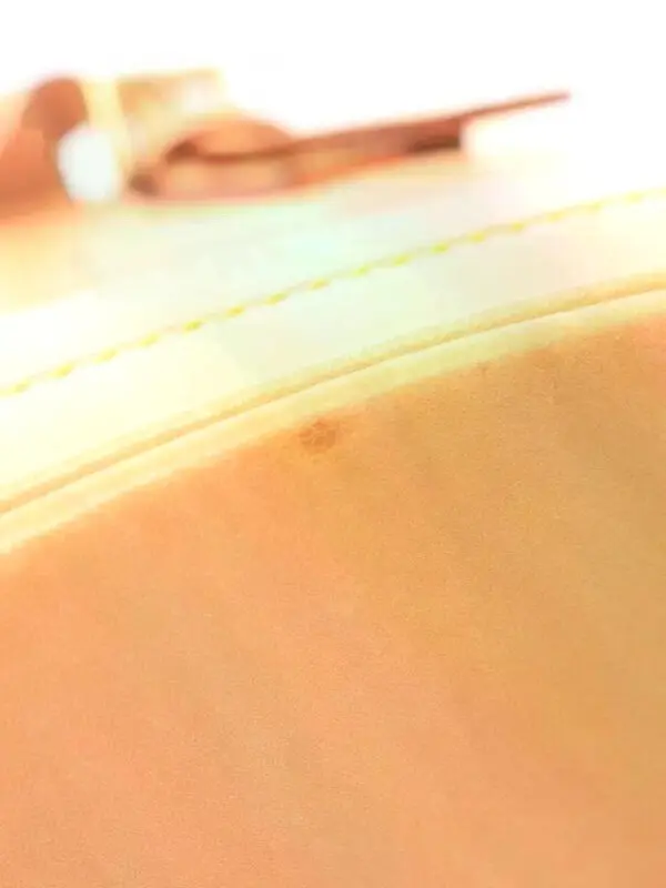 LOUIS VUITTON Vingtieme Nomad Bucket Bag - Neutrals