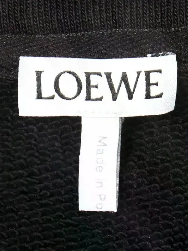 Loewe 2020's Anagram Cropped Hoodie