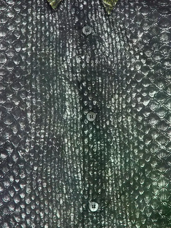 Roberto Cavalli Snakeskin-print Slim-fit Shirt