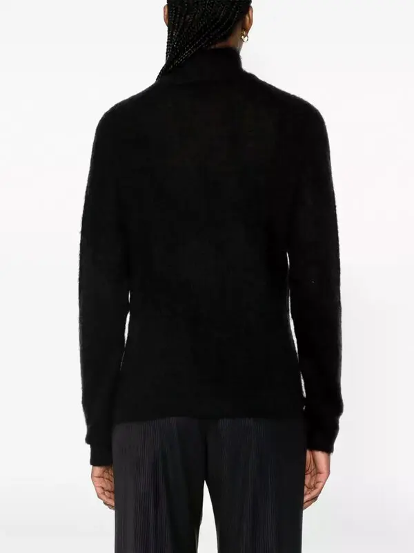 Alberta Ferretti Brushed-effect High-neck Jumper