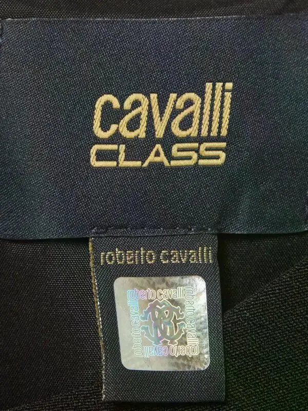 Roberto Cavalli Class Pleated Sleeveless Dress