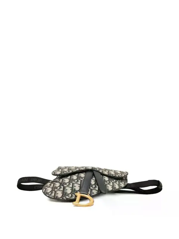 Dior 2019 Mini Oblique Canvas Saddle Pouch Belt Bag