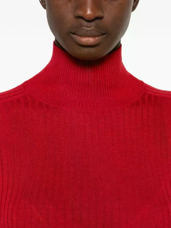 Max Mara Ribbed-knit Roll-neck Sweater