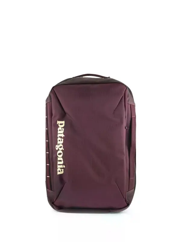 Patagonia Black Hole Logo-print Backpack