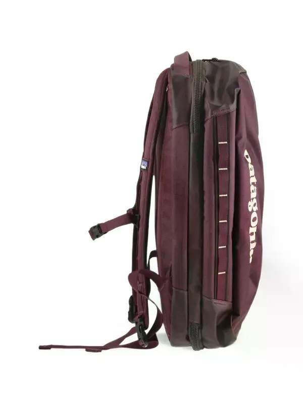 Patagonia Black Hole Logo-print Backpack