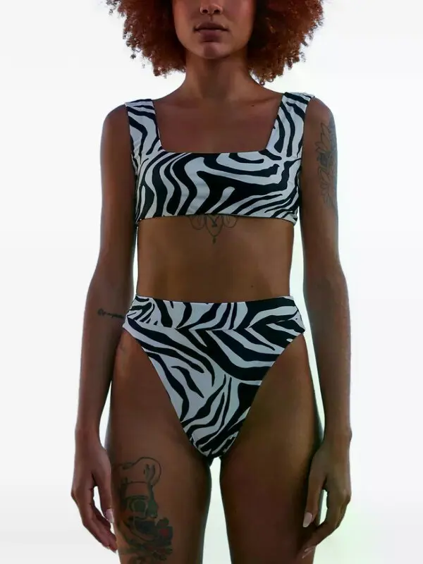 HAIGHT. Beta Zebra-print Bikini Bottoms