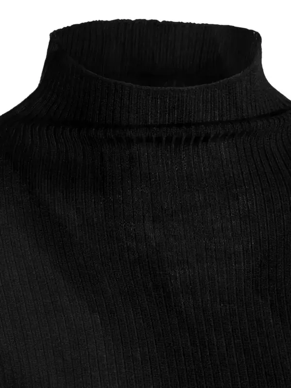 TWINSET Ribbed-knit Roll-neck Sweater