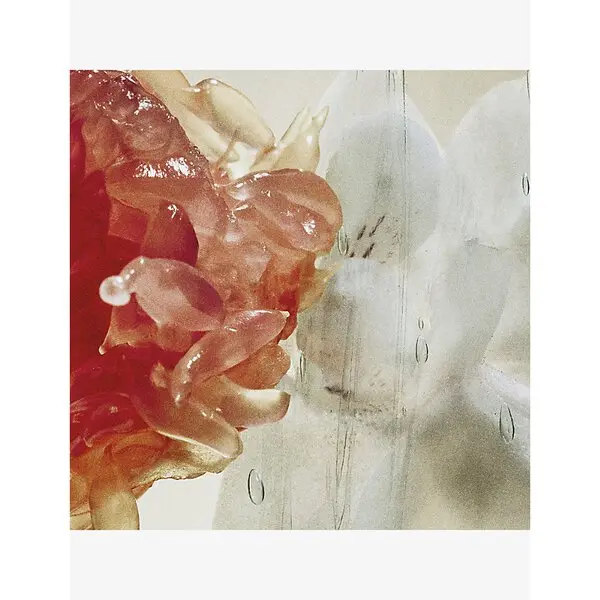Loewe Sweet Woodland Eau De Parfum