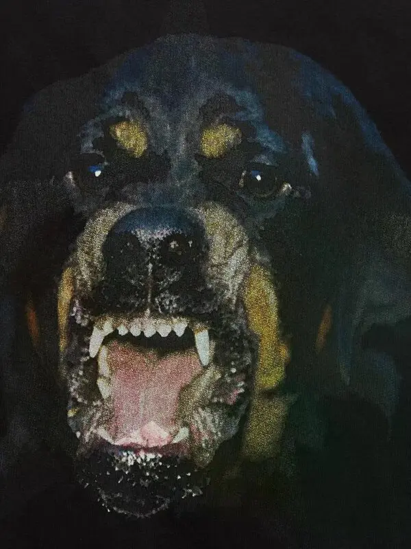 Givenchy Rottweiler-print Jersey Hoodie