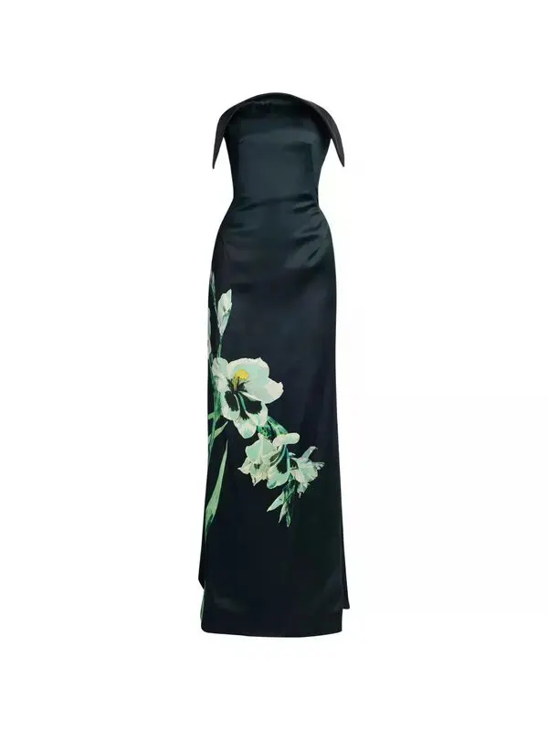 Erdem Floral-print Bustier Maxi Gown