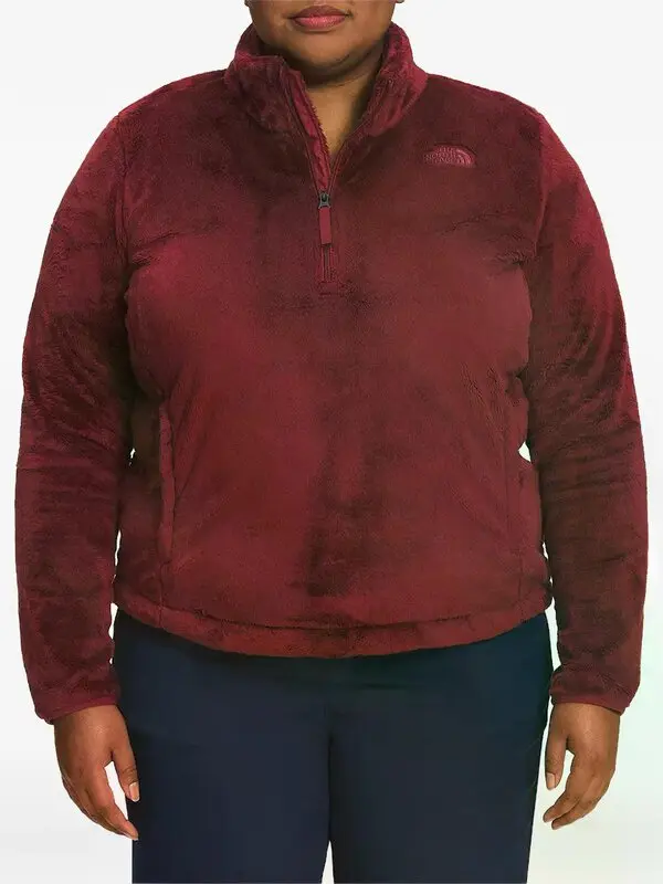 The North Face Plus Osito Quarter-zip Sweatshirt