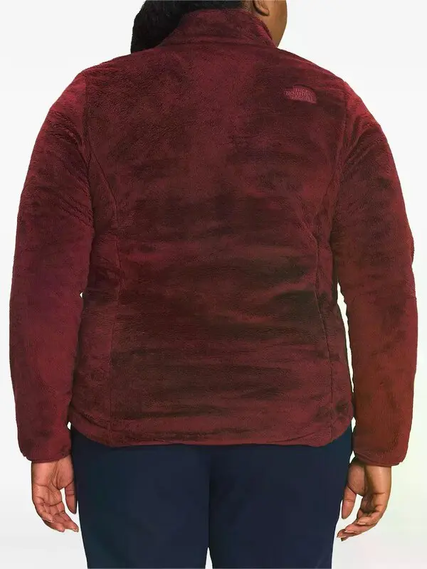The North Face Plus Osito Quarter-zip Sweatshirt
