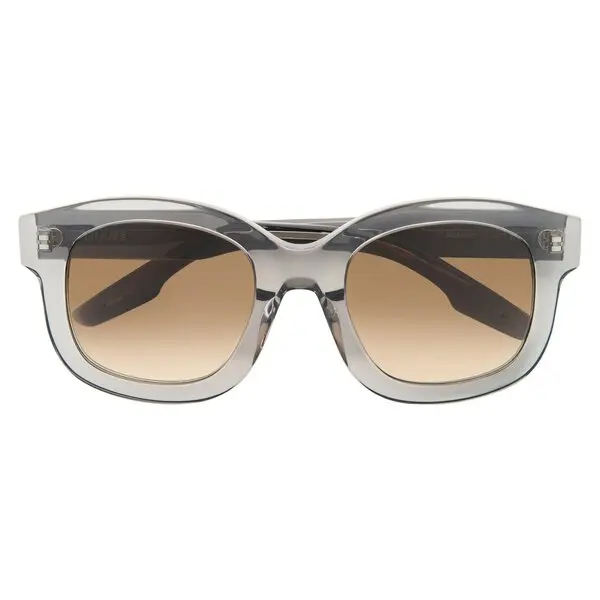 IVI VISION Diane Ash