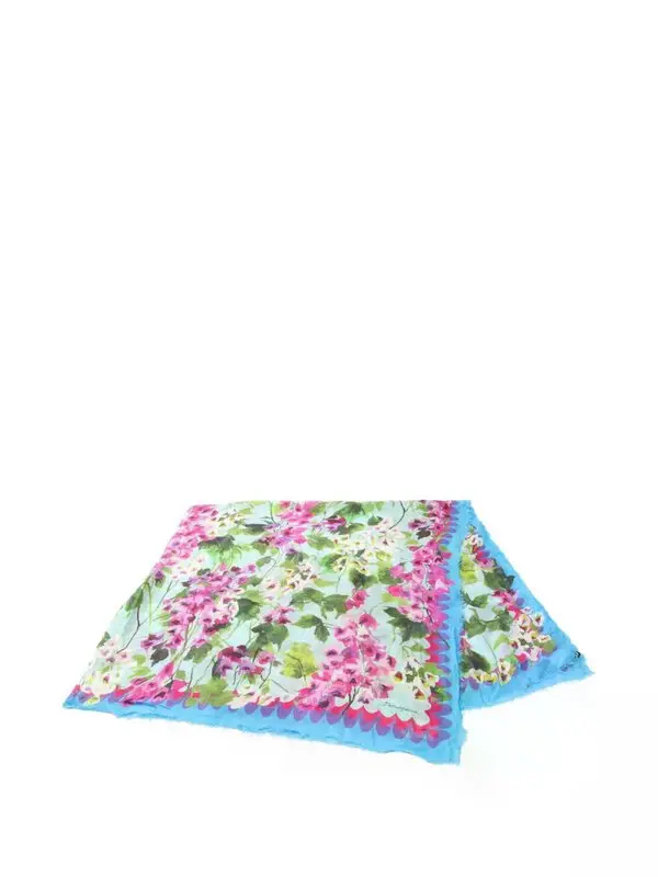 Dolce & Gabbana 2010s Floral-print Scarf - Blue