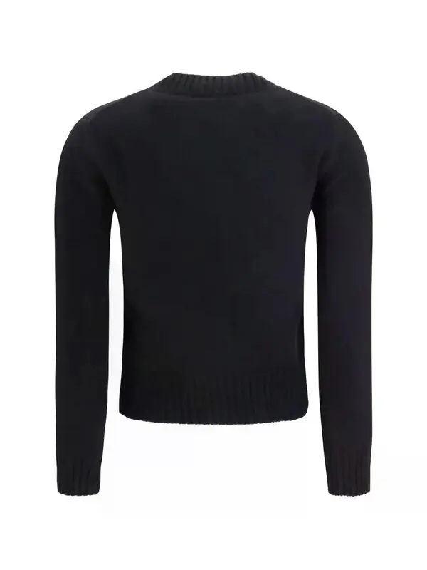 AMI Paris De Coeur Sweater